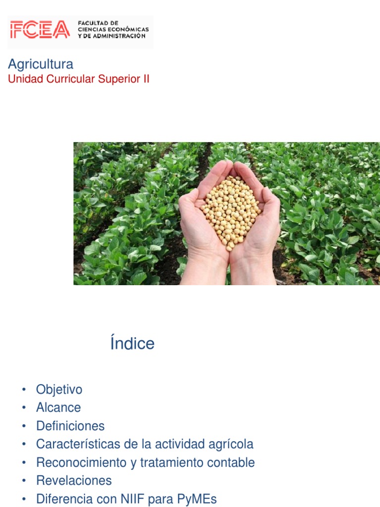 NIC 41 Agricultura - Presentación.pdf | PDF | Agricultura | normas ...