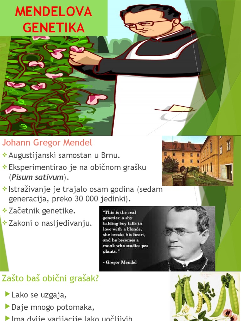 Mendelova Genetika | PDF