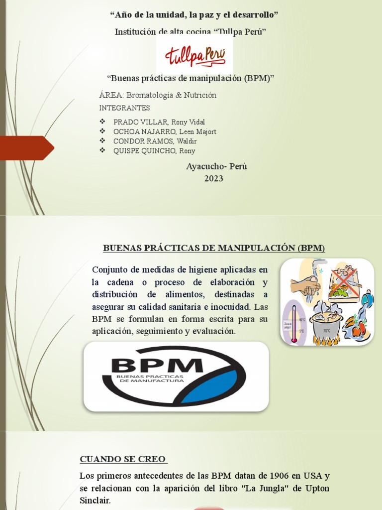 Buenas Prácticas de Manipulación en Tullpa | PDF