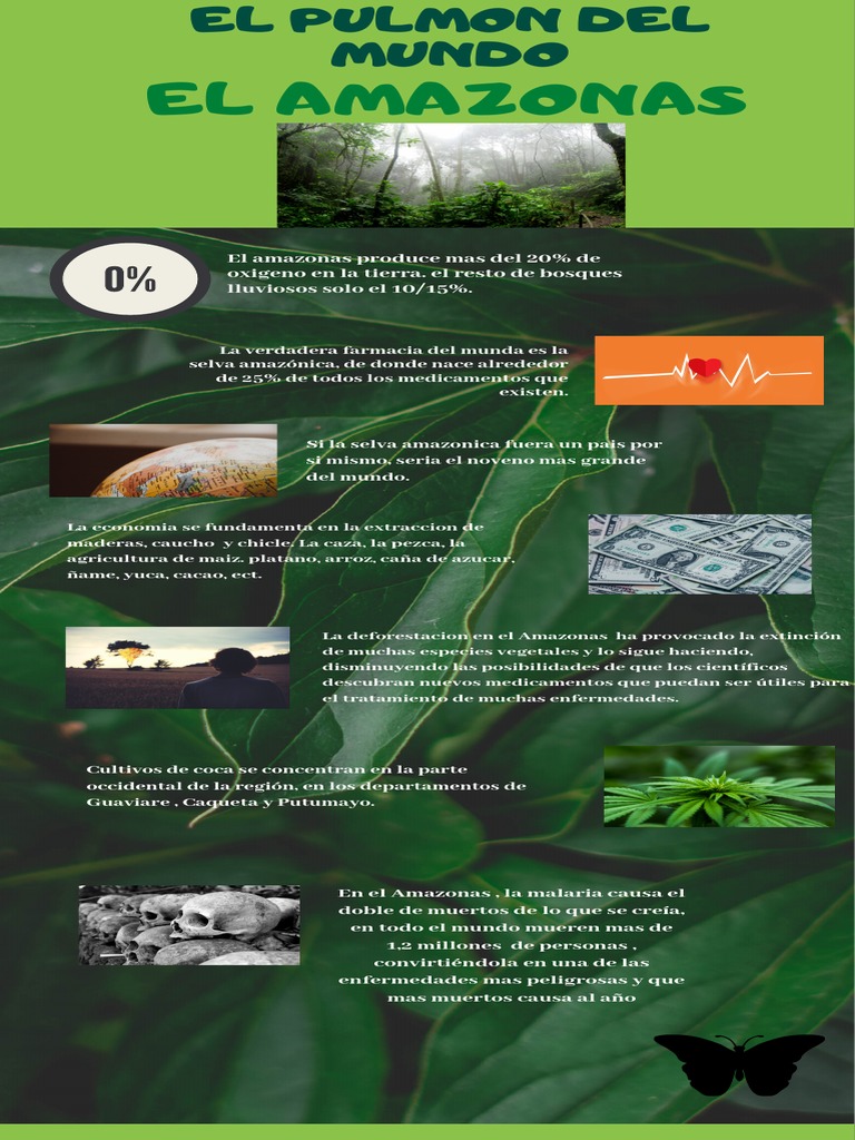 El Pulmon Del Mundo - Infograma Ii PDF | PDF