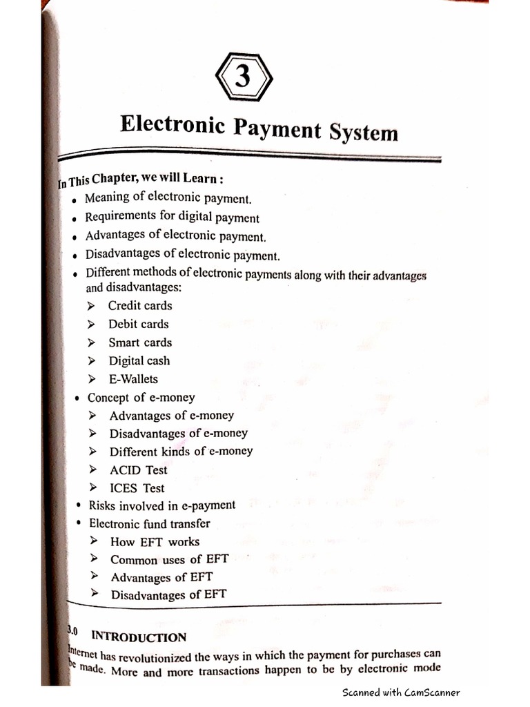 Chapter 3 Electronic Payment System | PDF