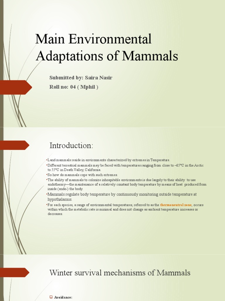 Mammalian Environmental Adaptations | PDF | Thermoregulation | Mammals
