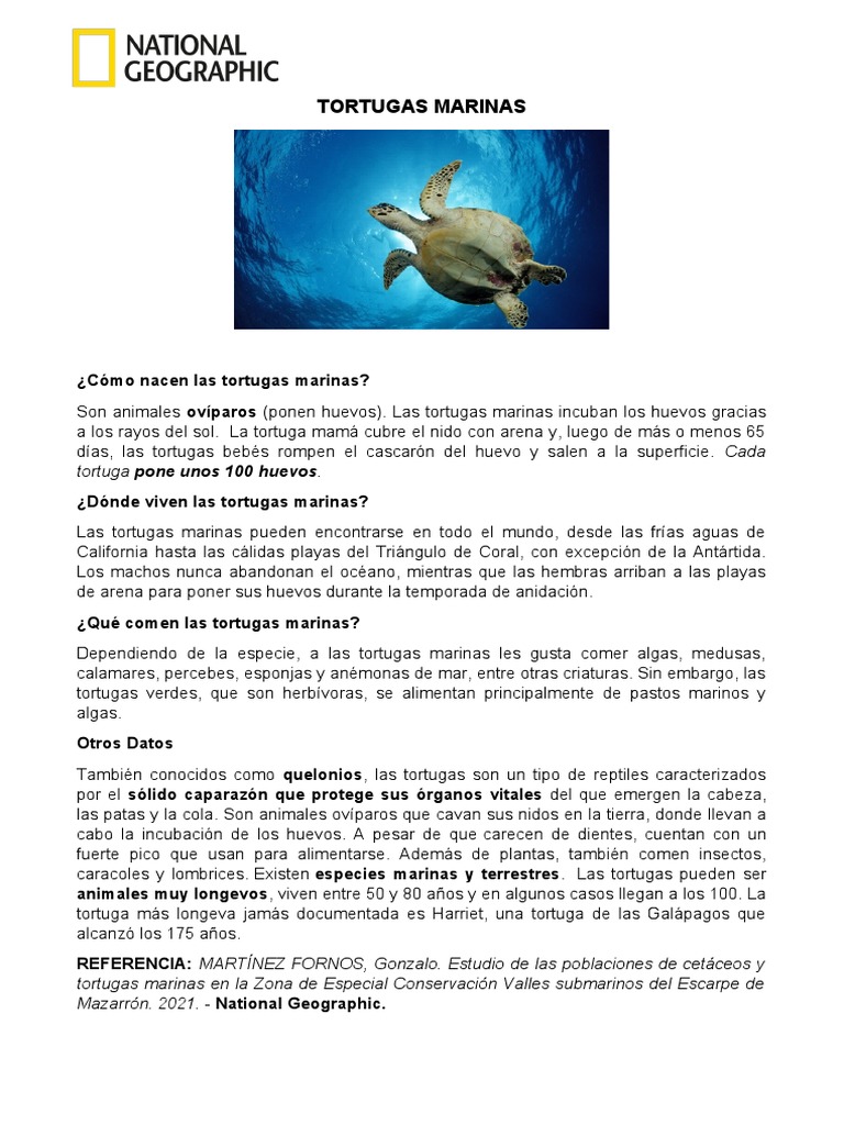 Tortugas Marinas | PDF