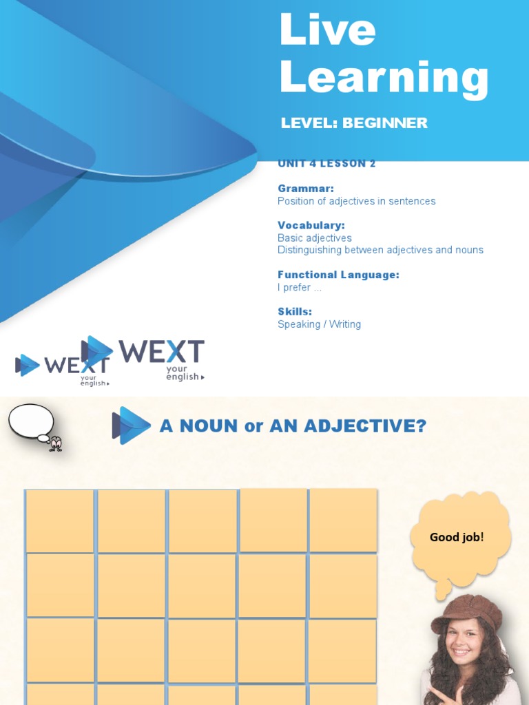 Beginner Grammar & Adjectives | PDF | Adjective | Noun