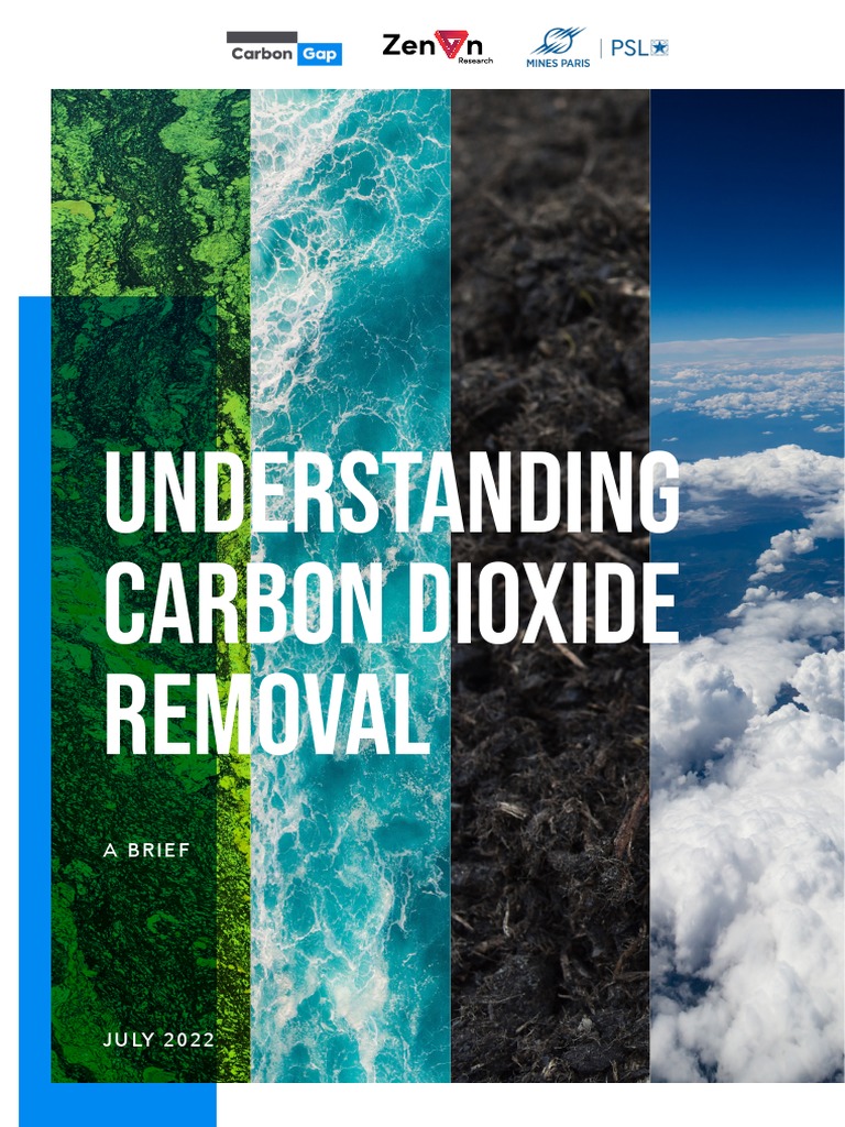 A Comprehensive Overview of Carbon Dioxide Removal Methods: Established ...