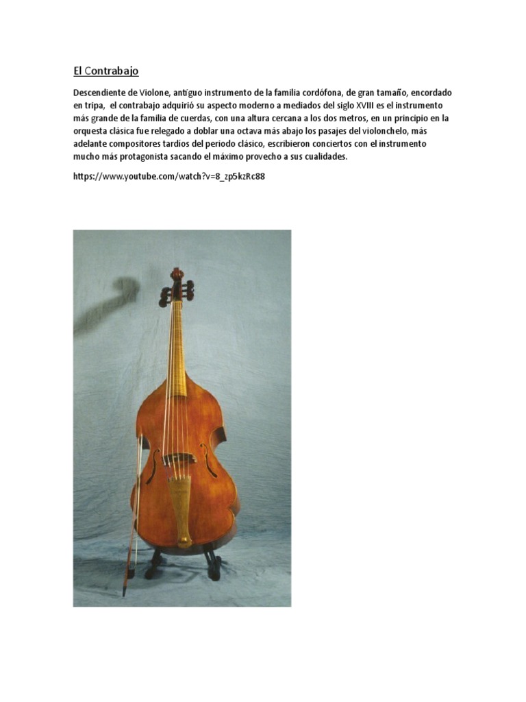 Conociendo El Contrabajo | PDF | Contrabajo | Instrumentos de cuerda