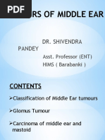 HINTS Exam for Vestibular Assessment | PDF | Vertigo | Vestibular System