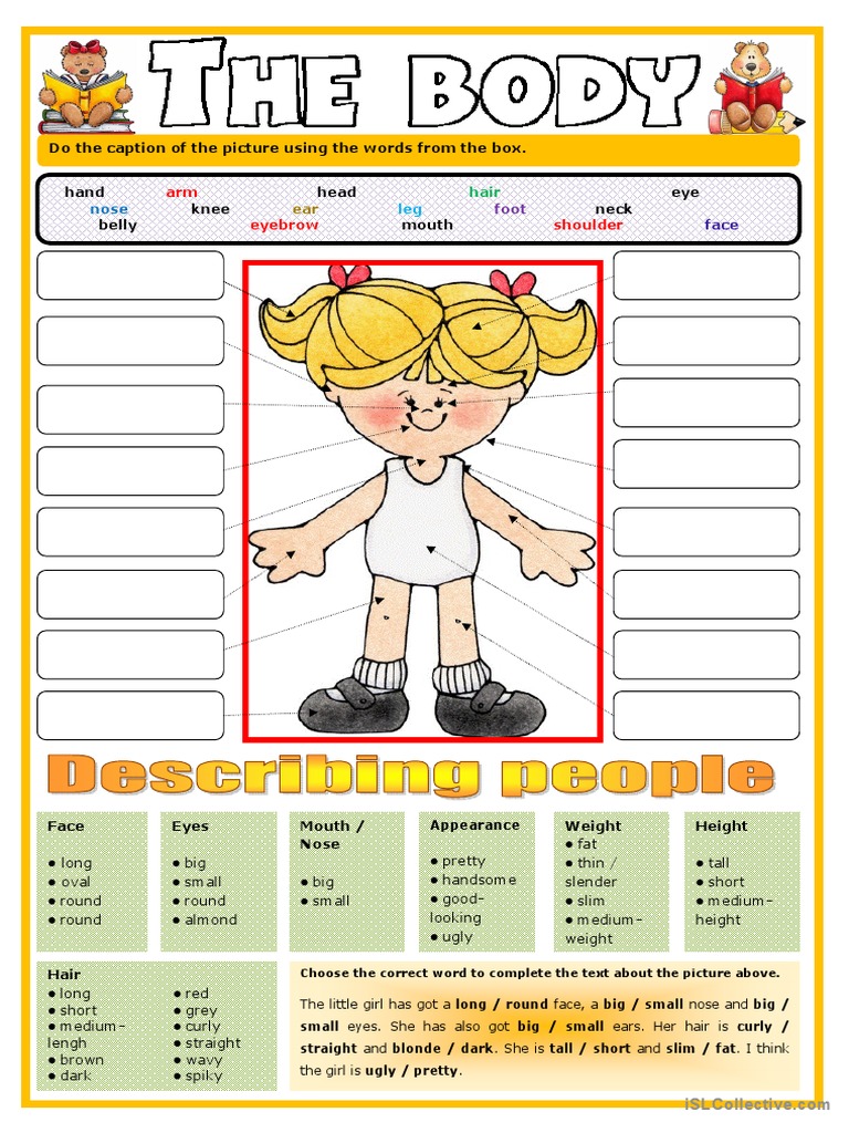 Body Description Guide | PDF
