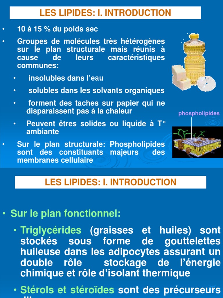 Introduction aux lipides et leur classification | PDF