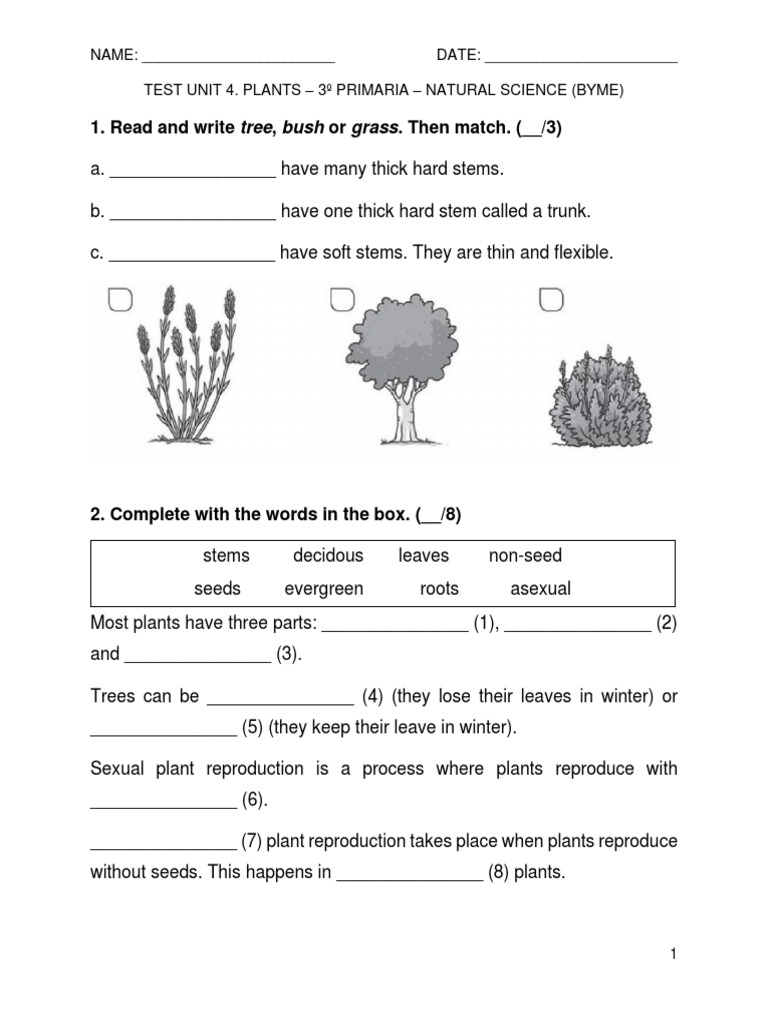 Plants Test for 3rd Grade Science | PDF | Flowers | Plants