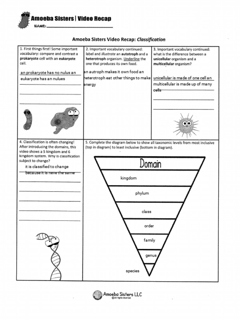 Bradley Myers - Classification | PDF