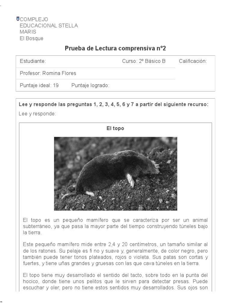 Prueba - Articulo Informativo | PDF