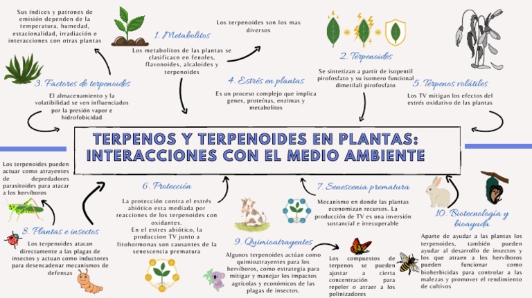 Terpenos Y Terpenoides En Plantas Eq 5 Pdf Biología Bioquímica