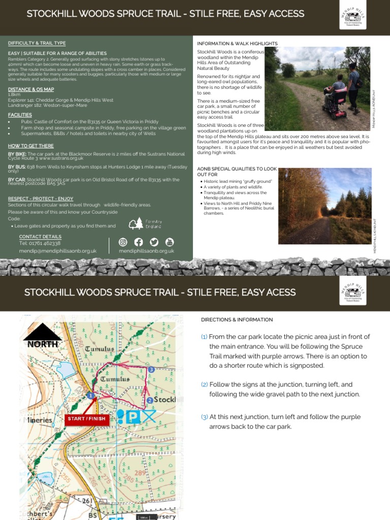 Stockhill Woods Spruce Trail Guide | PDF | Trail