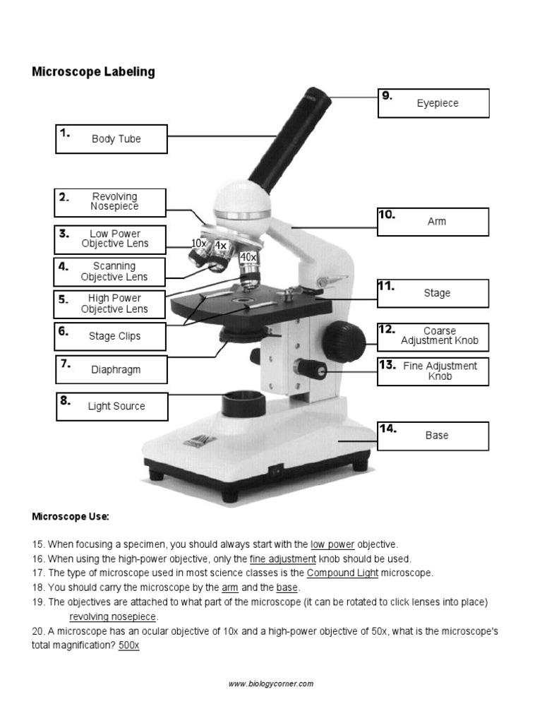 Microscope Labeling and Use | PDF | Electrodynamics | Materials Science