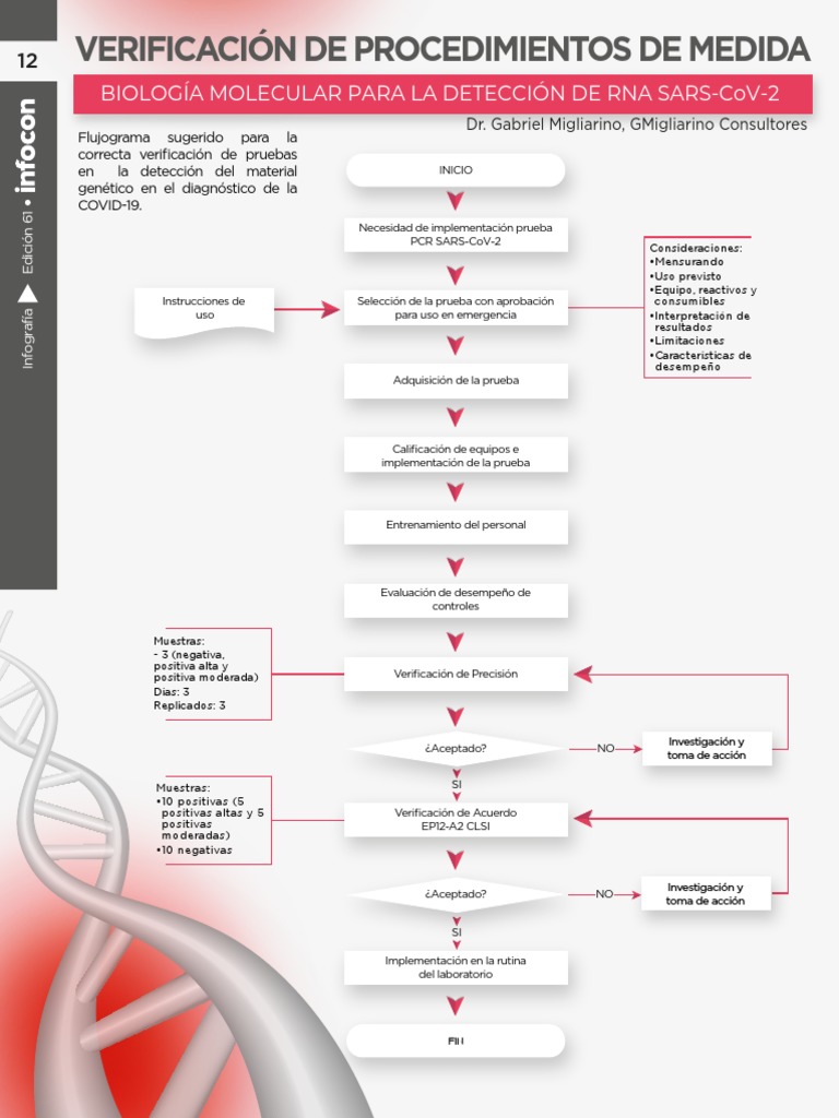 Verificacion de Procedimientos de Medida PDF | PDF | Especialidades Medicas | Medicina CLINICA