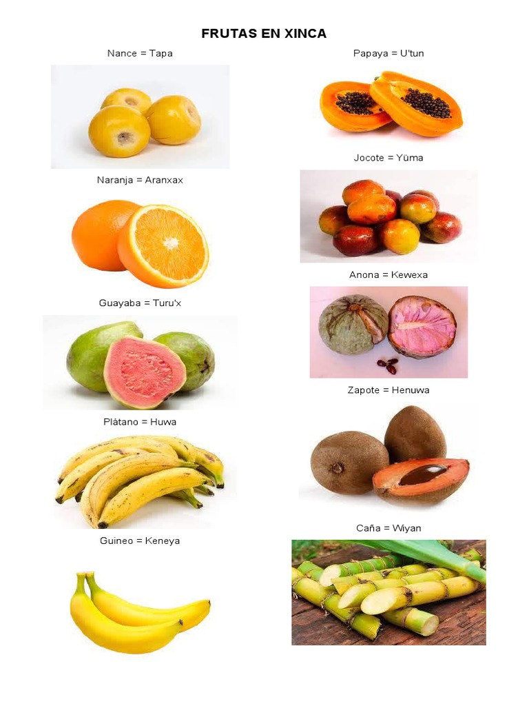 Frutas en Xinca | PDF