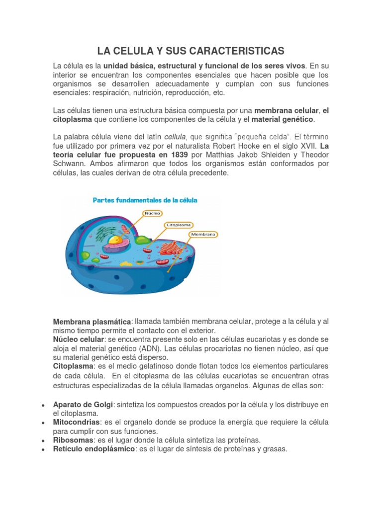 La Celula PDF | PDF | Biología Celular) | Citoplasma