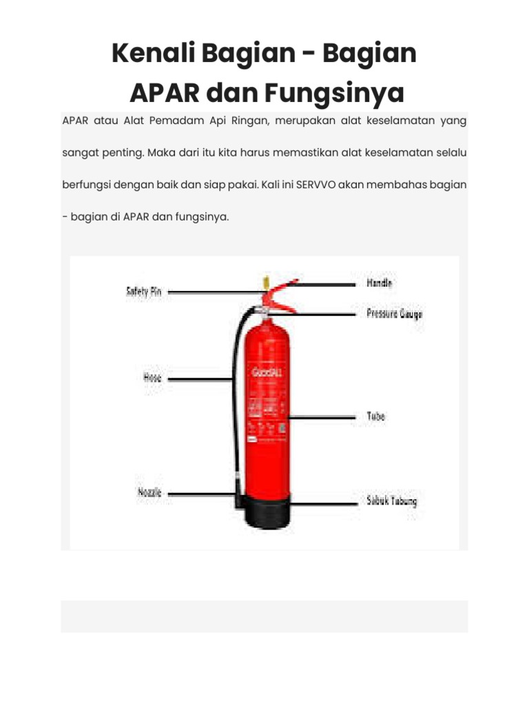 Materi Tentang Kenali Bagian-Bagian Arar | PDF