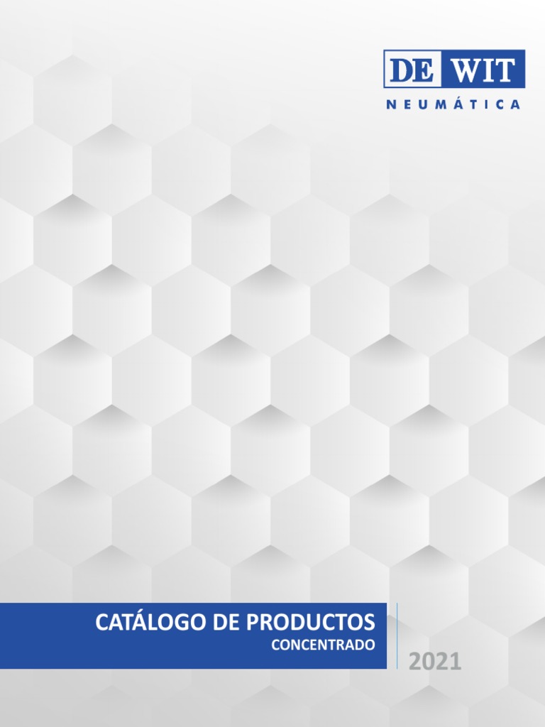 Catalogo EXPRESS DEWIT Neumatica | PDF