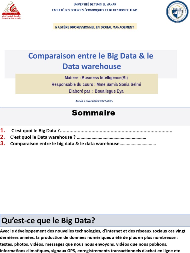 Comparaison entre le big data et le datawarehouse.pptx | PDF | Entrepôt de données | Big data