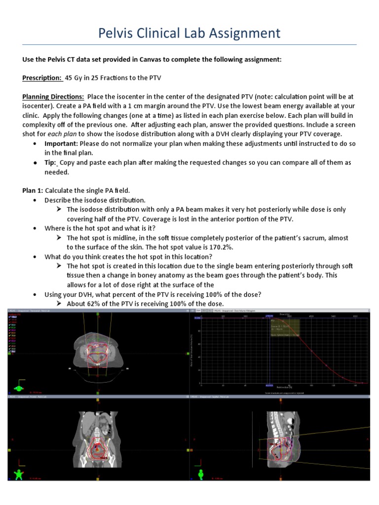 Pelvis Lab Allisonwright Pdf