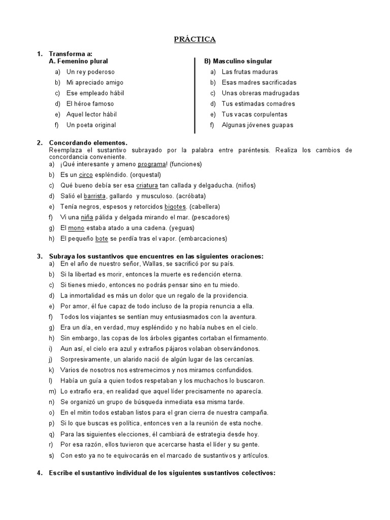 Práctica de Sustantivo | PDF