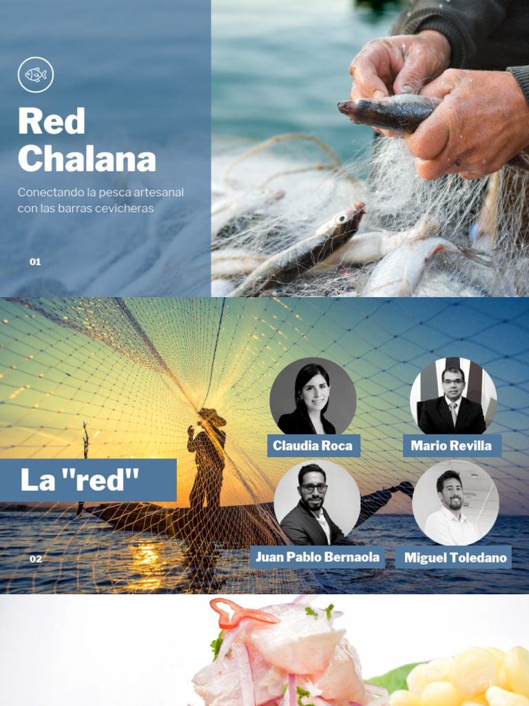 Red Chalana - Presentación Final PDF | PDF