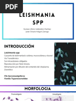 Ficha Técnica Quantrel | PDF | Medicamentos con receta | El embarazo