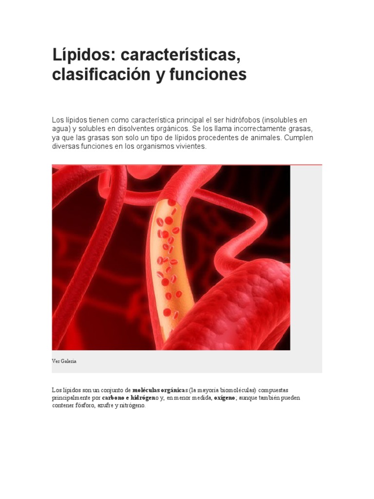 Funciones y características de los lípidos | PDF