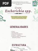 Funcionamiento del SINAVE en México | PDF | Epidemiología ...