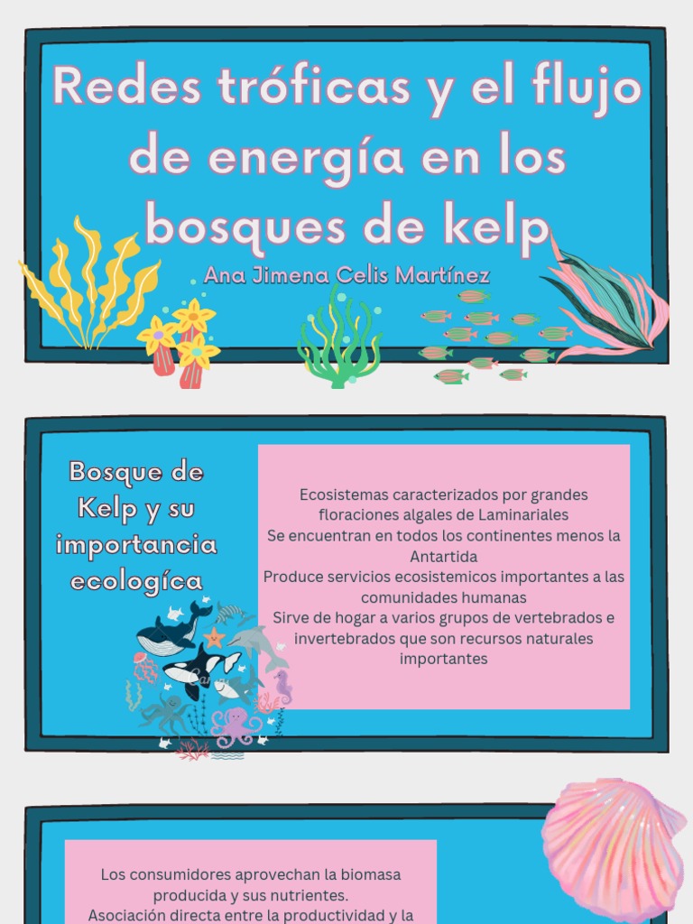 Redes Tróficas en Los Bosques de Kelp PDF | PDF