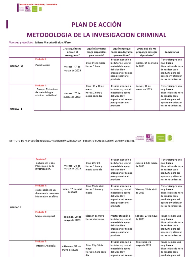 Plan de Accion - Metod. de La Investigacion Criminal | PDF