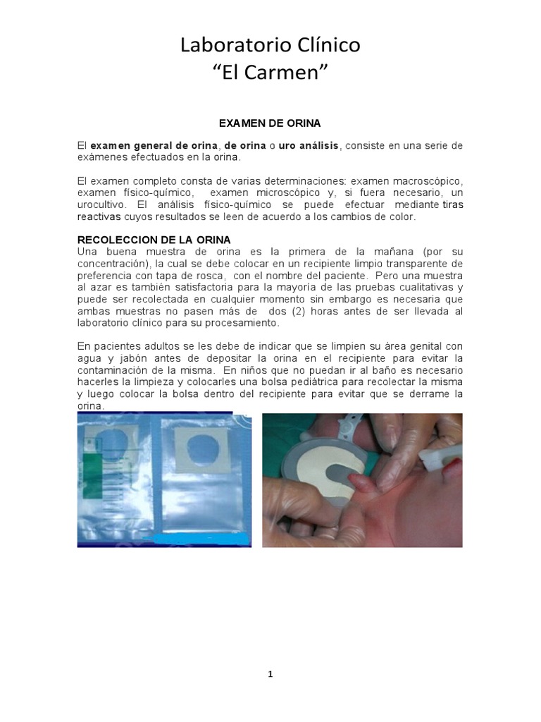 MANUAL DE ORINA El Carmen | PDF