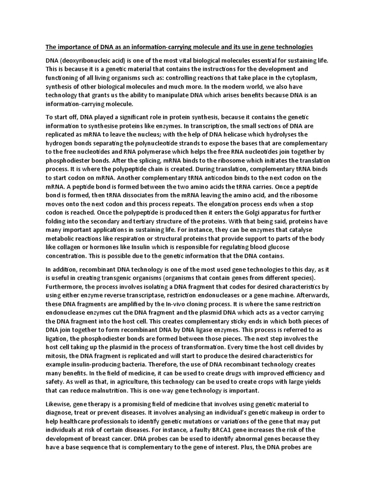 Dna Essay Work | PDF