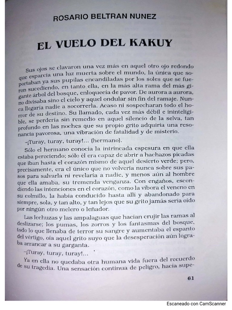 El Vuelo Del Kakuy PDF | PDF
