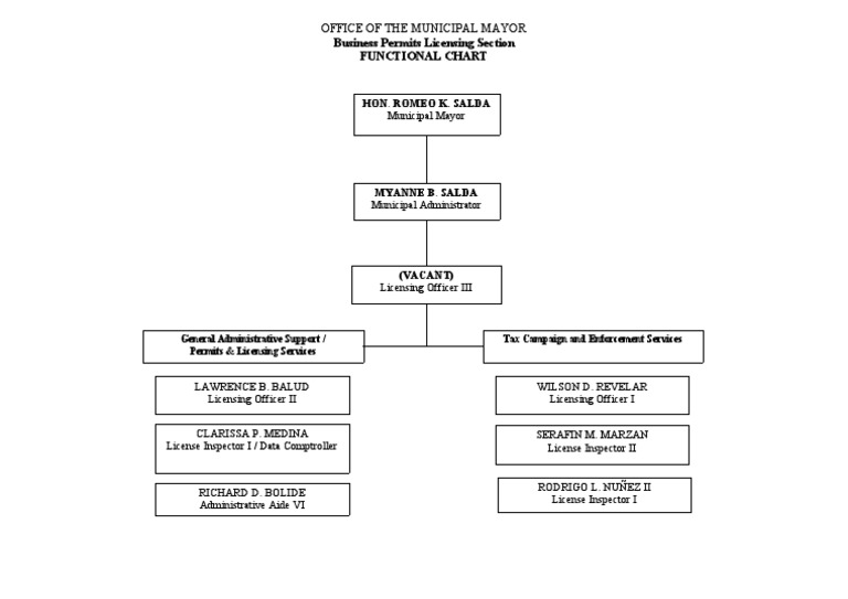 Org Functional Chart | PDF