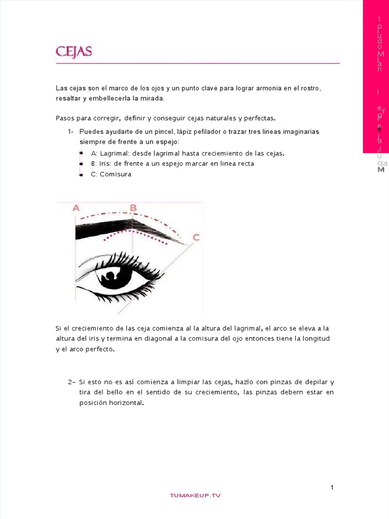 PDF Cejas | PDF