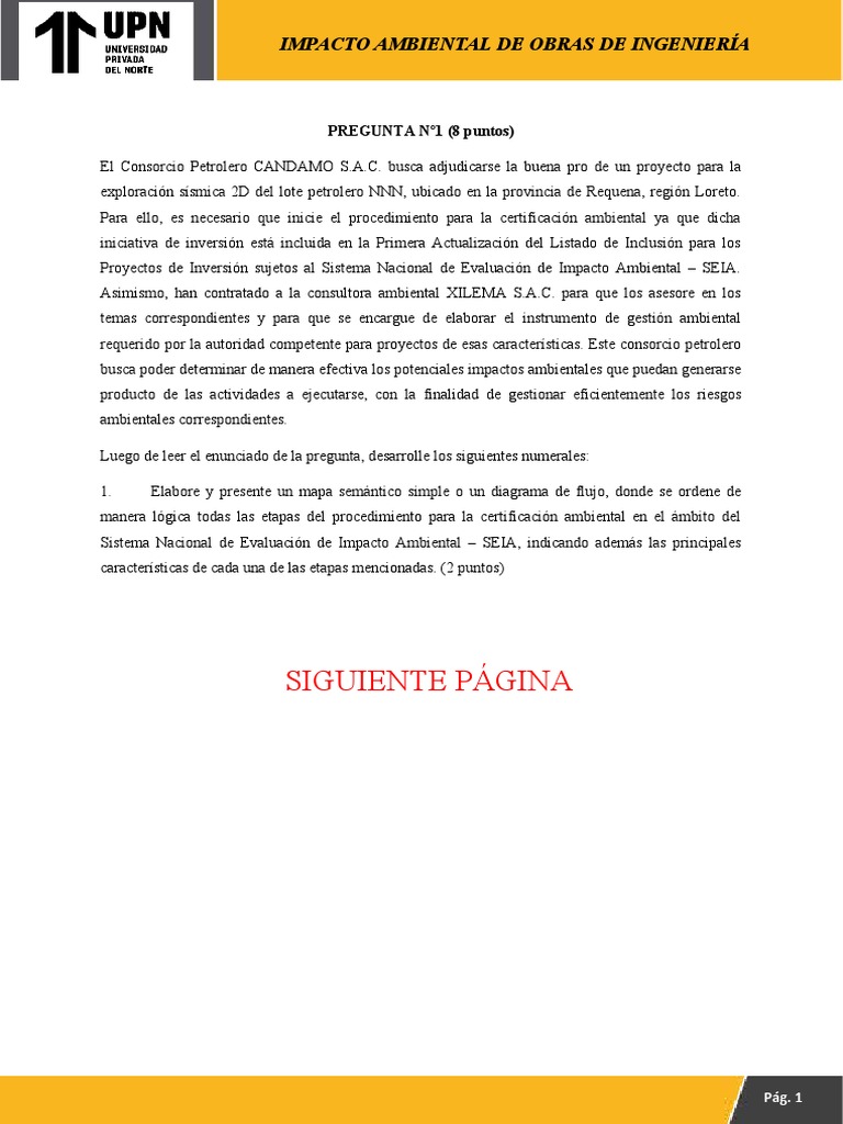 Pregunta 1 Final | PDF