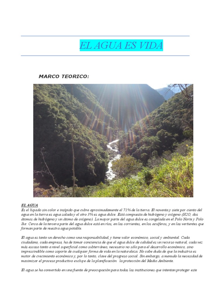 El Agua Es Vida PDF | PDF