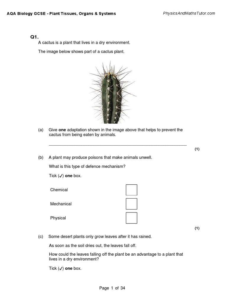 2.3 Plant Tissues, Organs & Systems QP PDF | PDF