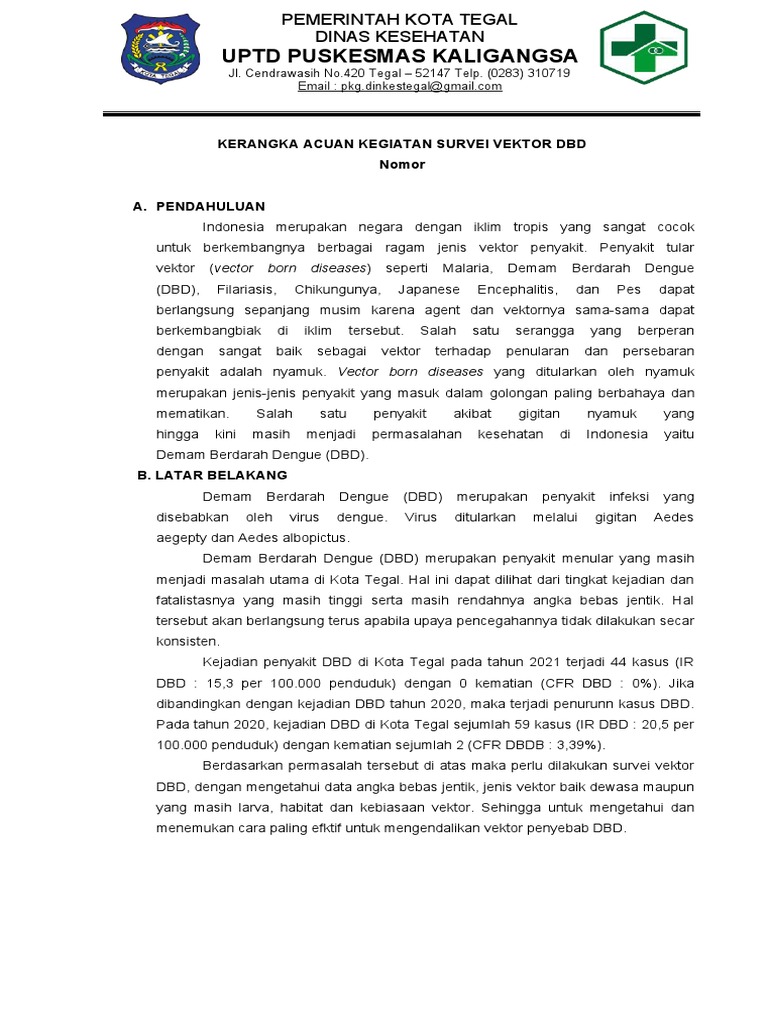 Kerangka Acuan Survei Vektor DBD | PDF