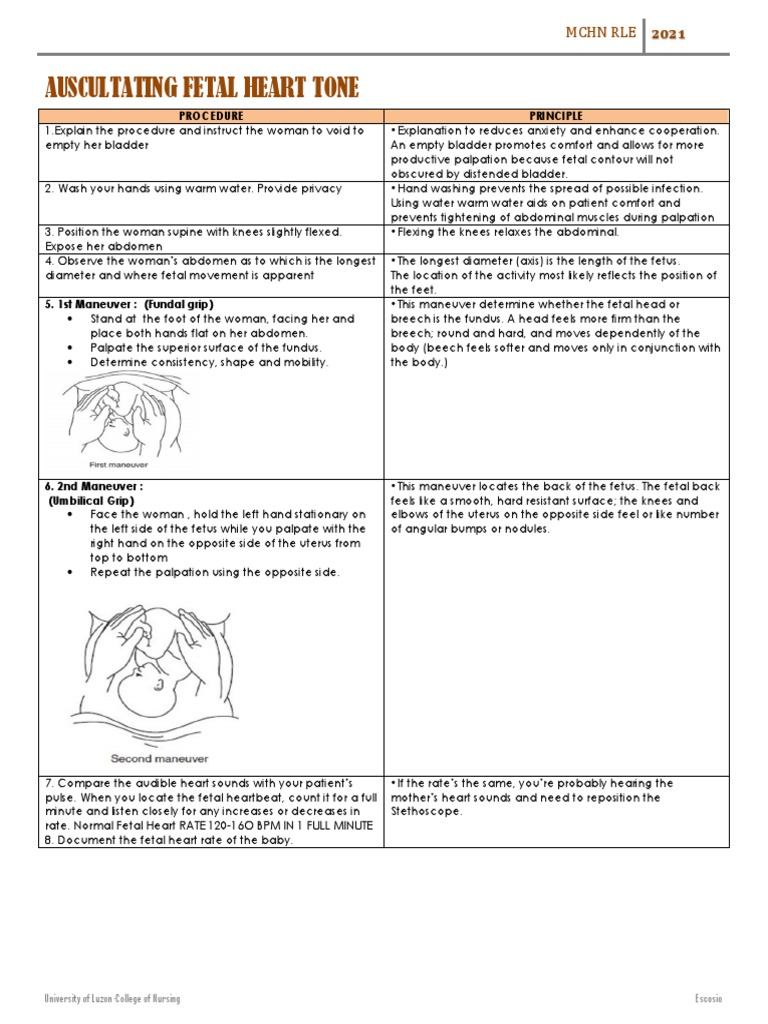 Fetal Heart Tone Auscultation Guide | PDF | Fetus | Uterus