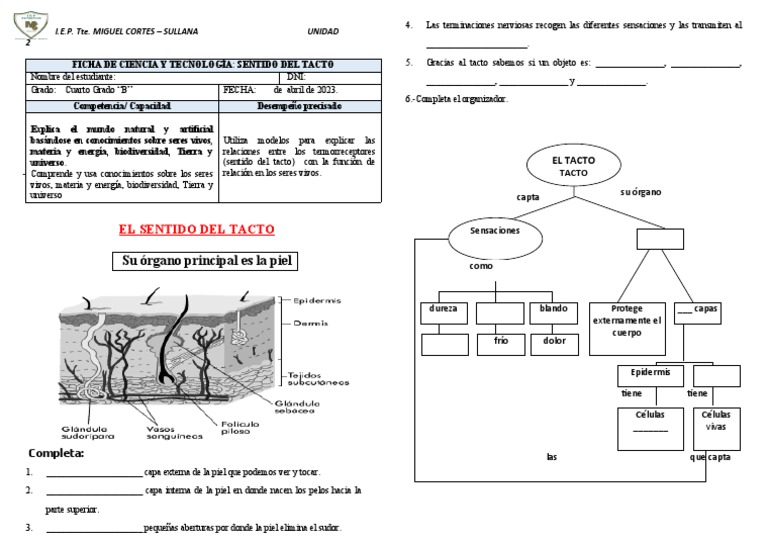 Ficha 2 CIENCIA SENTIDO DEL TACTO. | PDF