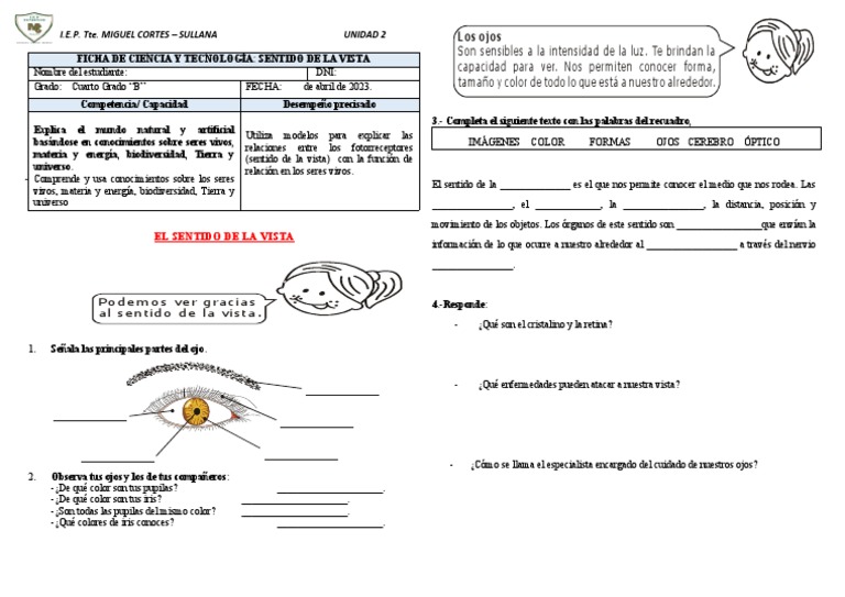 Ficha1 CIENCIA SENTIDO DE LA VISTA | PDF | Percepción visual | Ojo