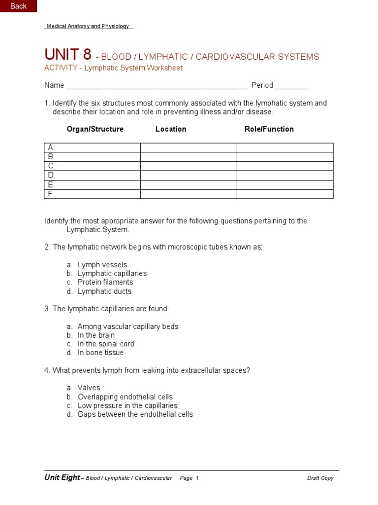 08Activity11LYMPHATICSYSTEMWORKSHEET PDF | PDF | Lymphatic System | Lymph
