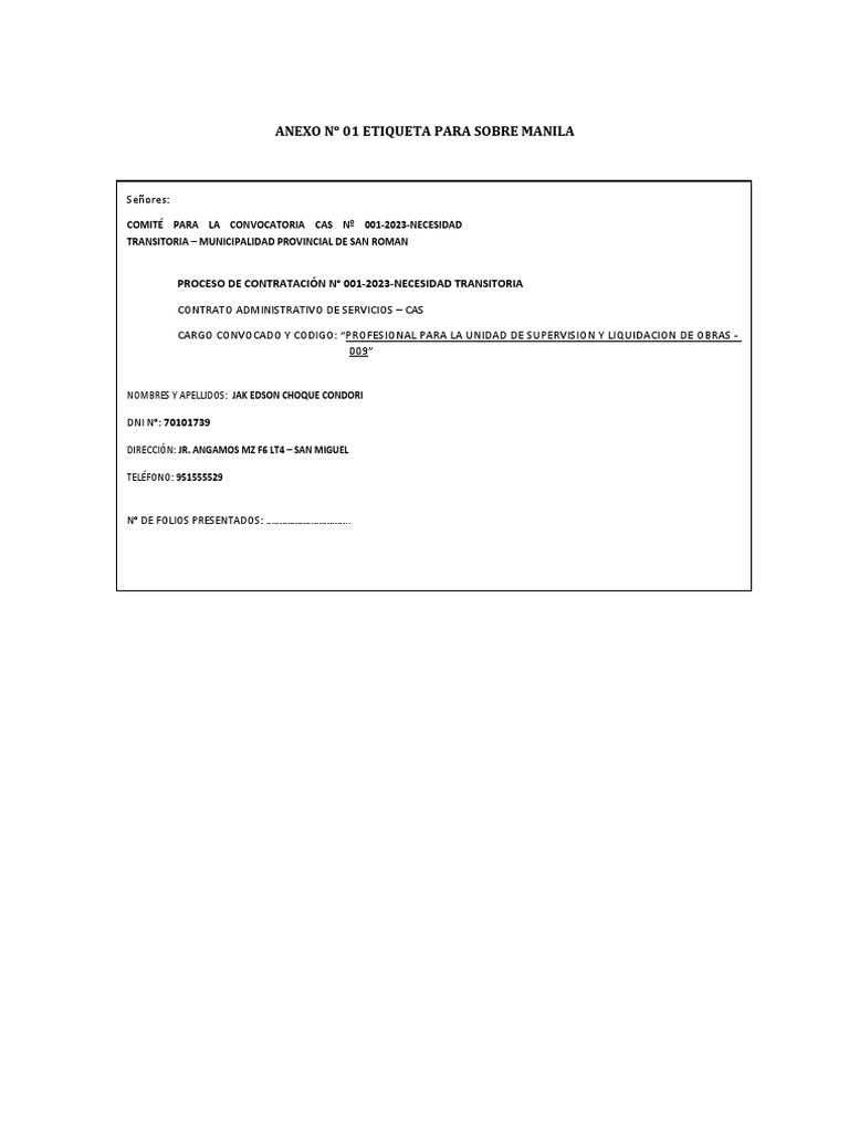 Anexos (Word) | PDF
