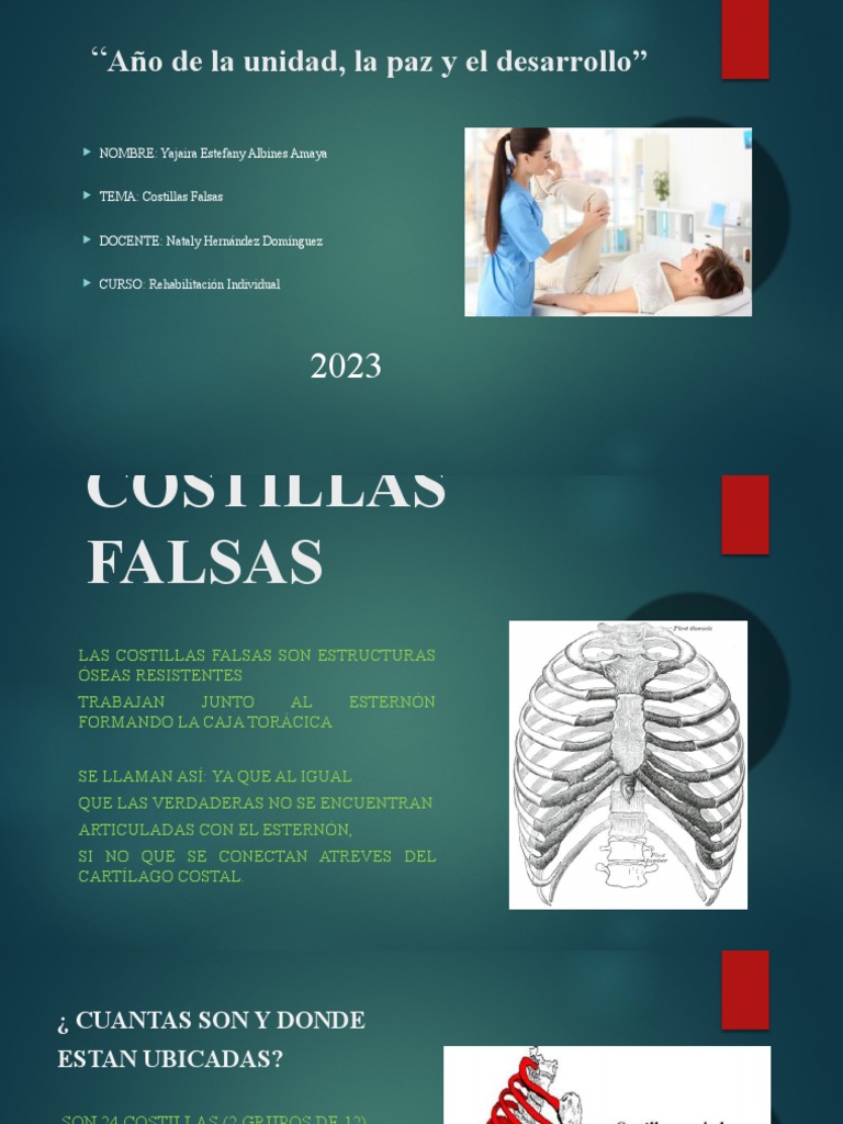 Costillas Falsas. Yeaa-1 | PDF