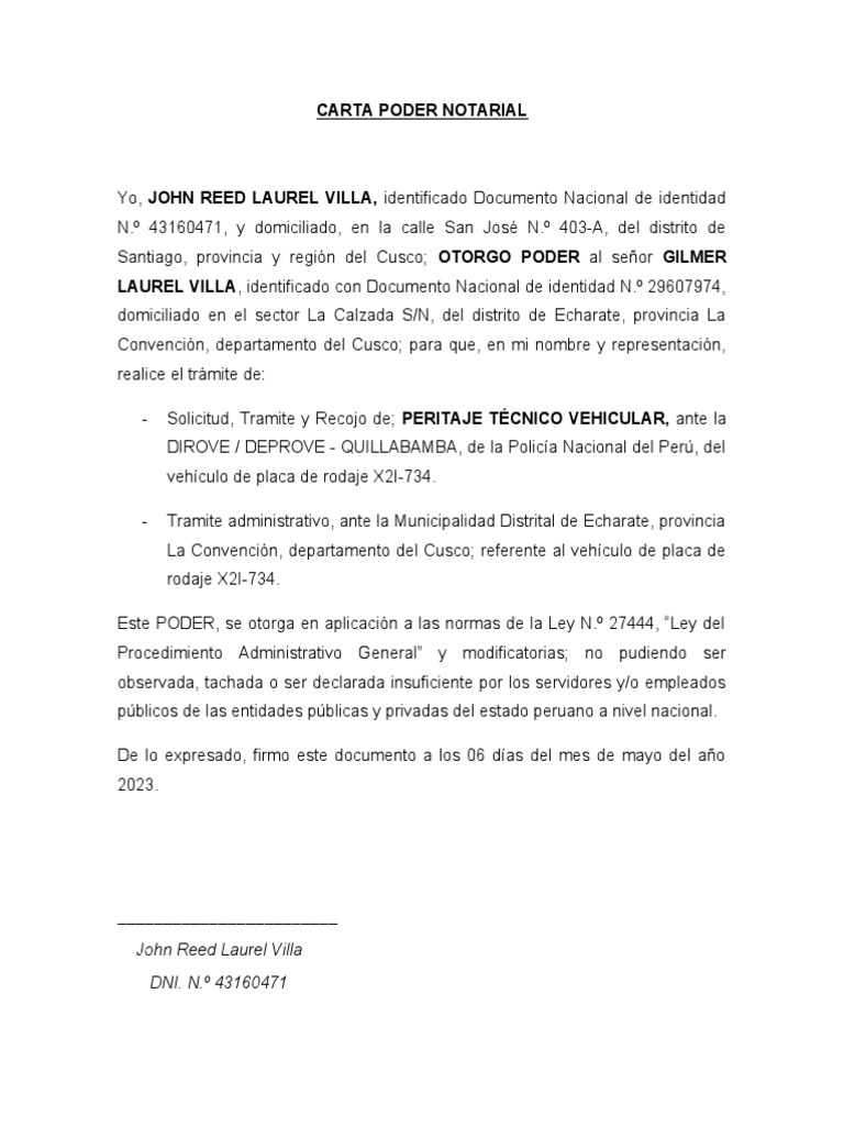 Carta Poder Especial | PDF