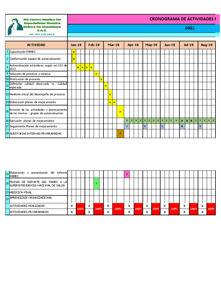 Cronograma Pamec 2021 | PDF